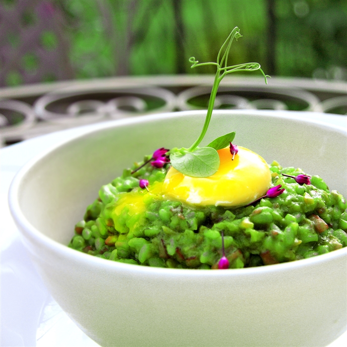Fresh herb risotto with smoked bacon & poached egg | Recipe by ...