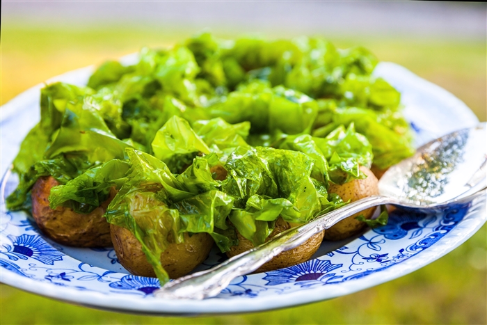 Algae and tarragon potatoes | Recipe by MicaelBindefeld | cookniche